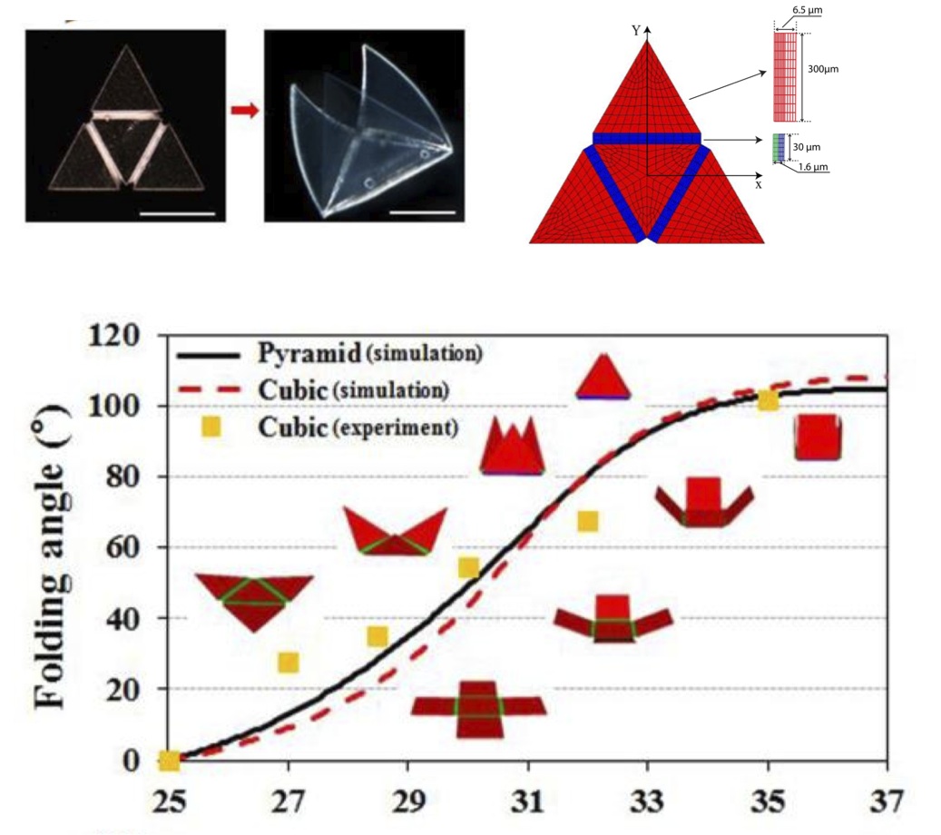 Hydrogels – Nguyen Lab
