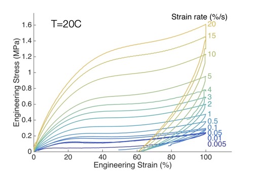 Liquid Crystal Elastomers – Nguyen Lab