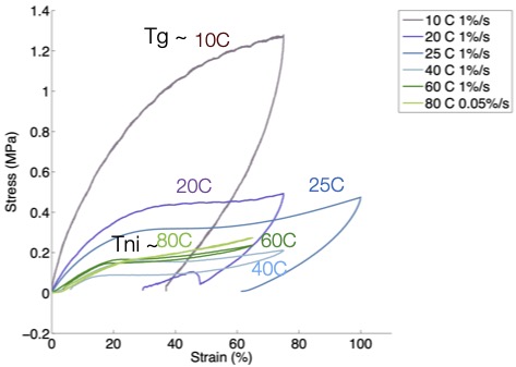 Liquid Crystal Elastomers – Nguyen Lab