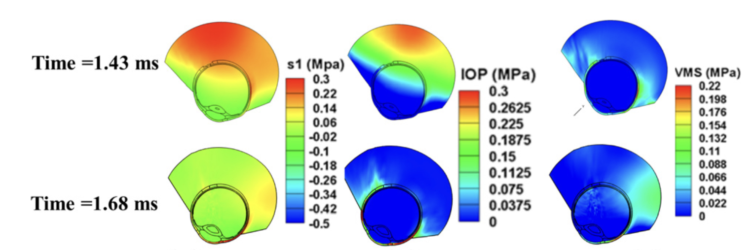 Blast Injury Biomechanics – Nguyen Lab
