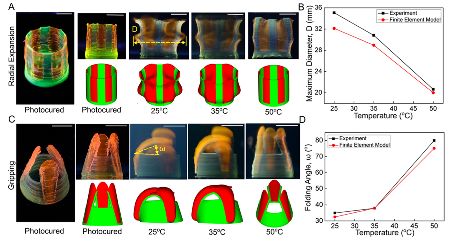 Hydrogels – Nguyen Lab